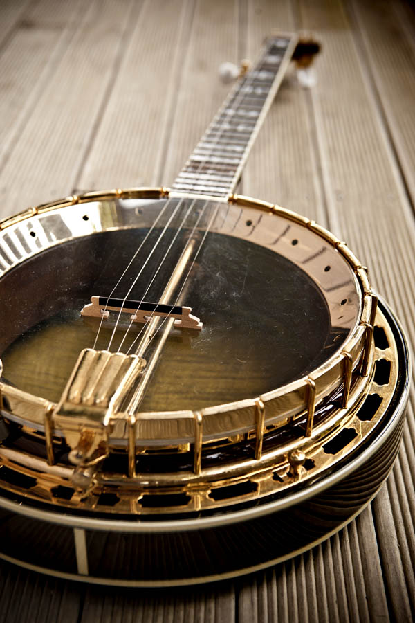 Appreciating the bouncy bluegrass banjo beat – Sciencelens
