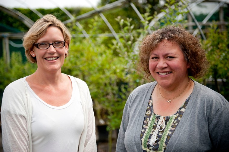 Environmental gallery – Sciencelens