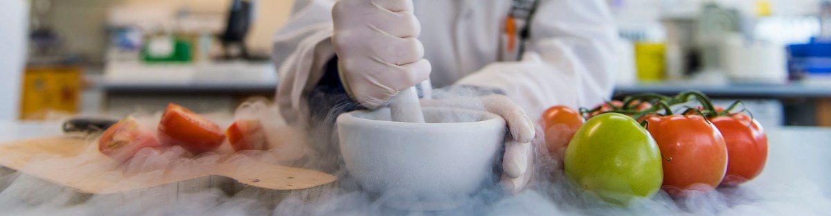 Food science gallery – Sciencelens